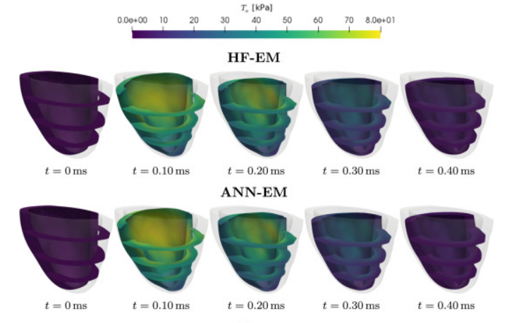 Machine learning of multiscale active force generation models for the ...