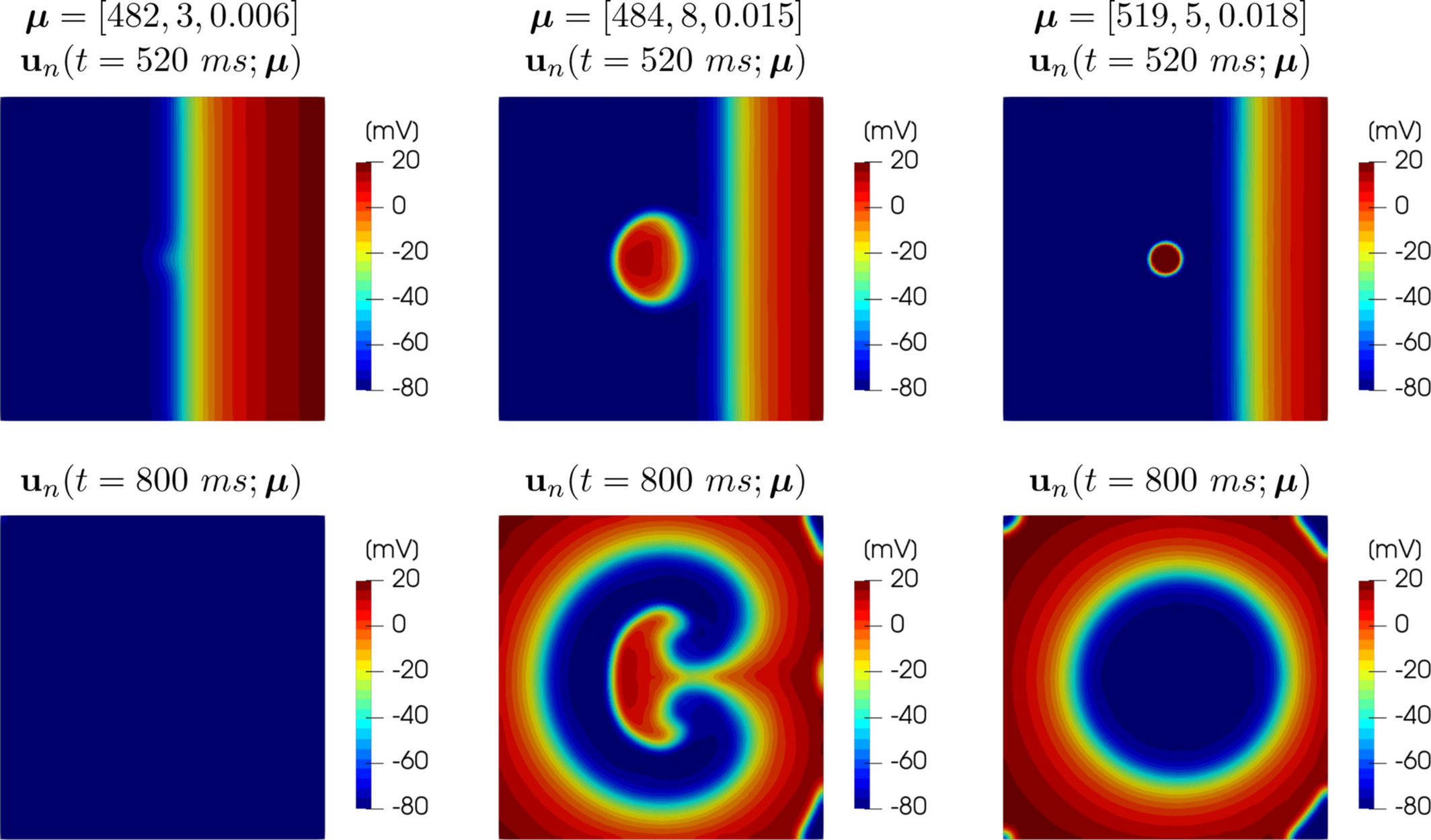 Enabling forward uncertainty quantification and sensitivity analysis in cardiac ...